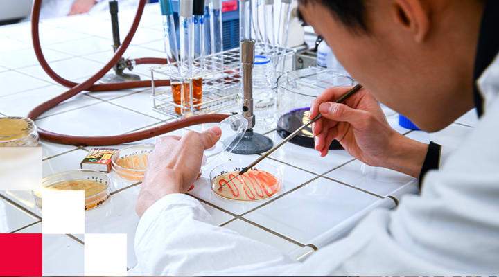 Haute École Lucia de Brouckère (HELdB)