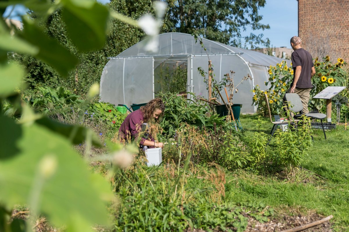 Haute École Lucia de Brouckère (HELdB)