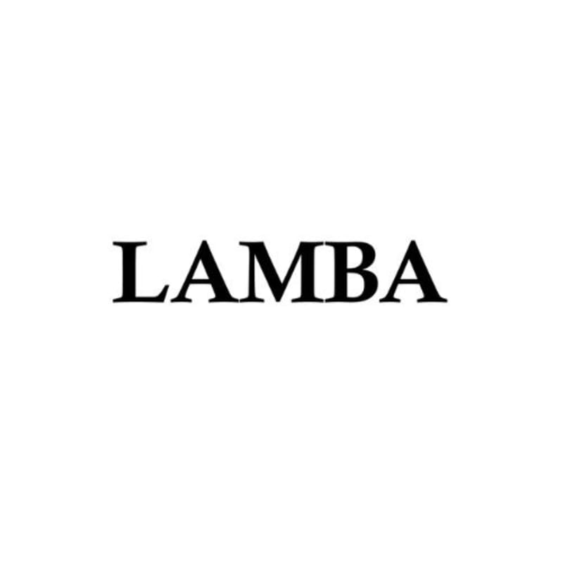 Jobs, internships and student jobs at Lamba | Student.be
