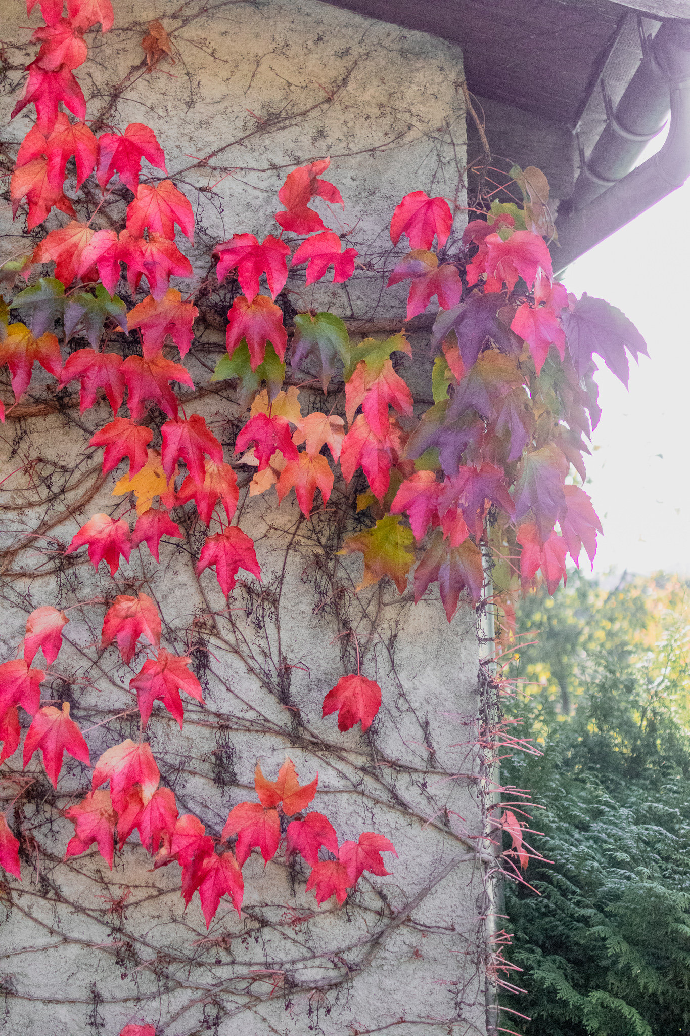Ma bucket list d'automne 🍁 - À deux c'est mieux