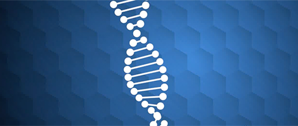 New study to understand DMD patients’ and caregivers’ attitudes towards ...