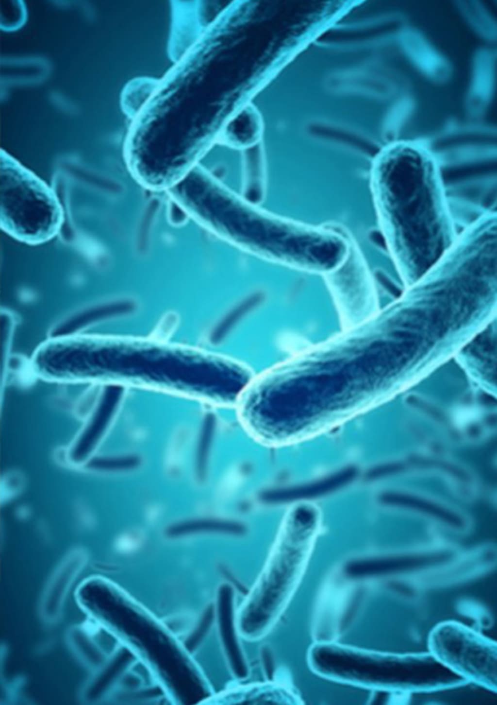 Yakult - De wondere wereld van bacteriën