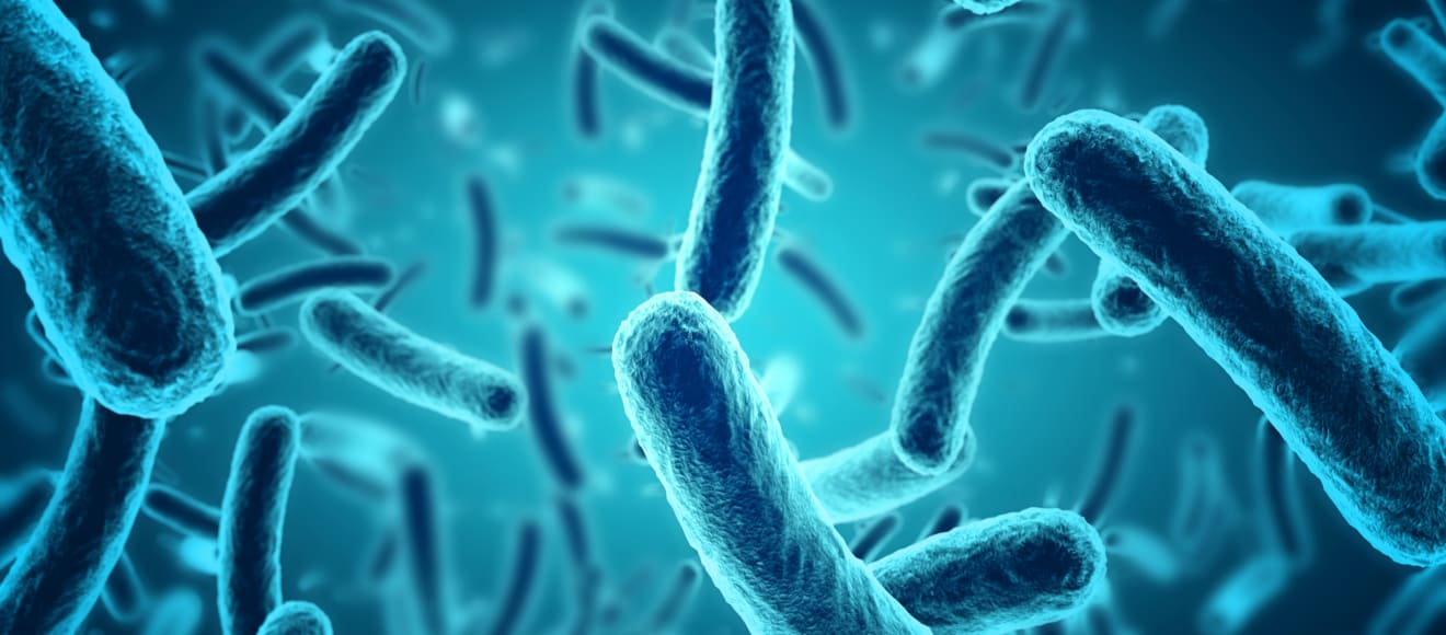 Bacteria science - Yakult