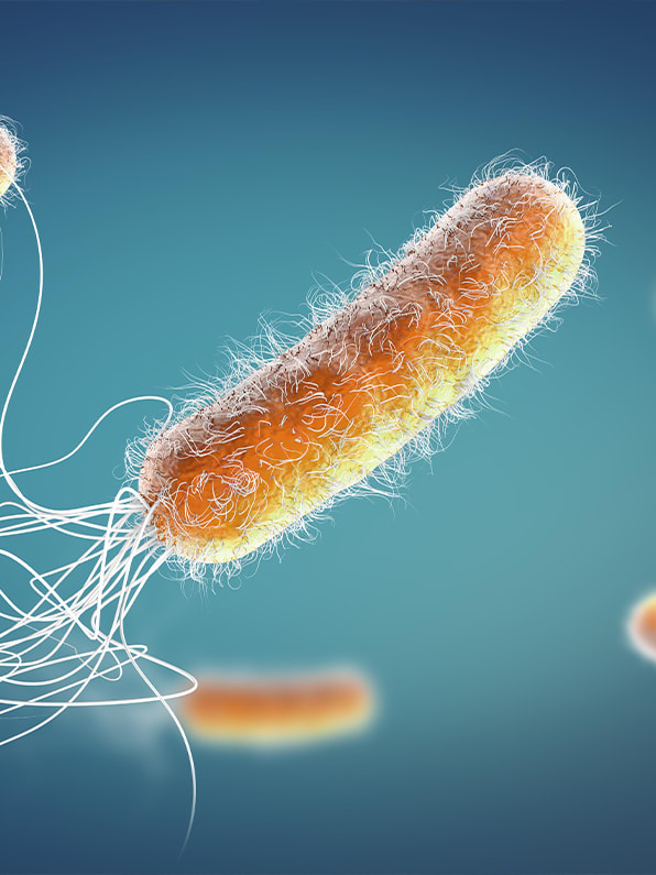 Qu'est-ce qu'un antibiotique ? - Yakult