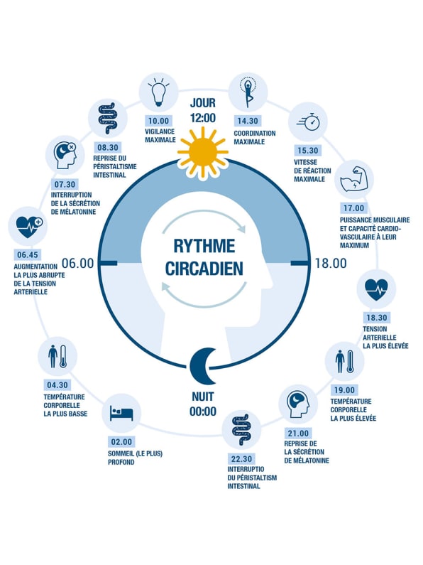 Travailler avec son horloge biologique - Yakult