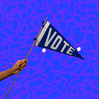 Results - SU Elections 24-25 | StuyBOE Voting Site