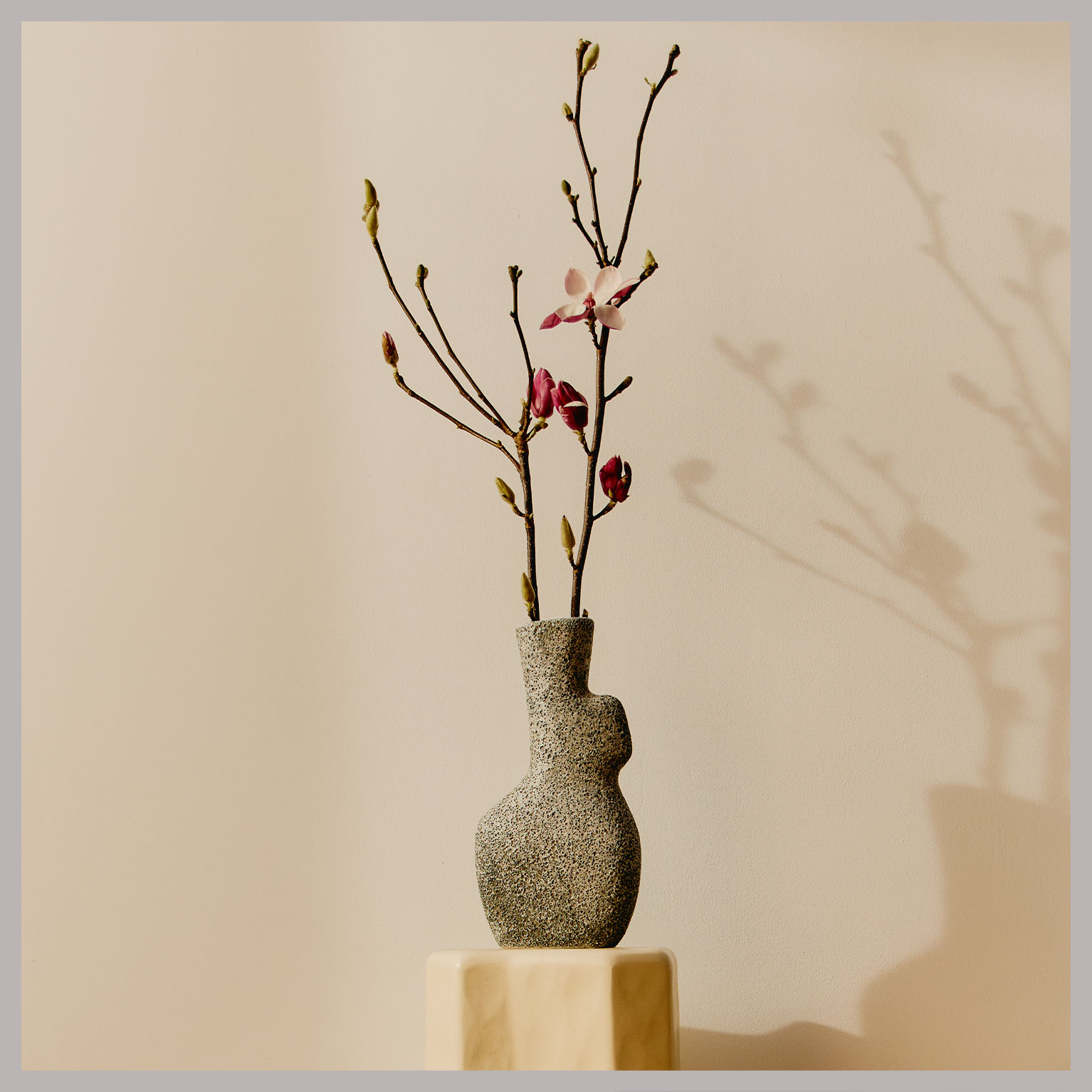 Home & Living Shop: Zuhause richtig wohl fühlen