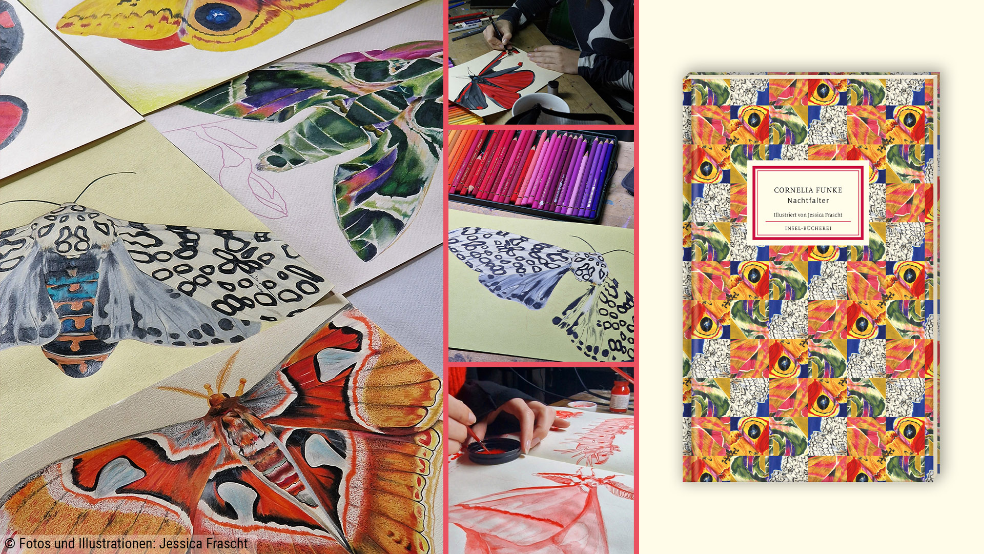 Nachtfalter von Cornelia Funke mit Illustrationen von Jessica Frascht ...