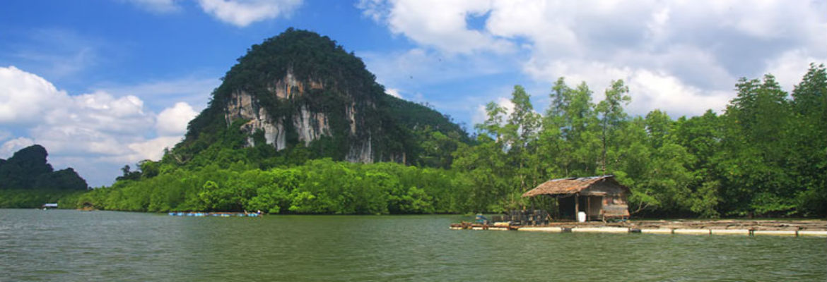 Ao Luk Mangroves in Krabi, Thailand | Day Tripe with Sunleisureworld