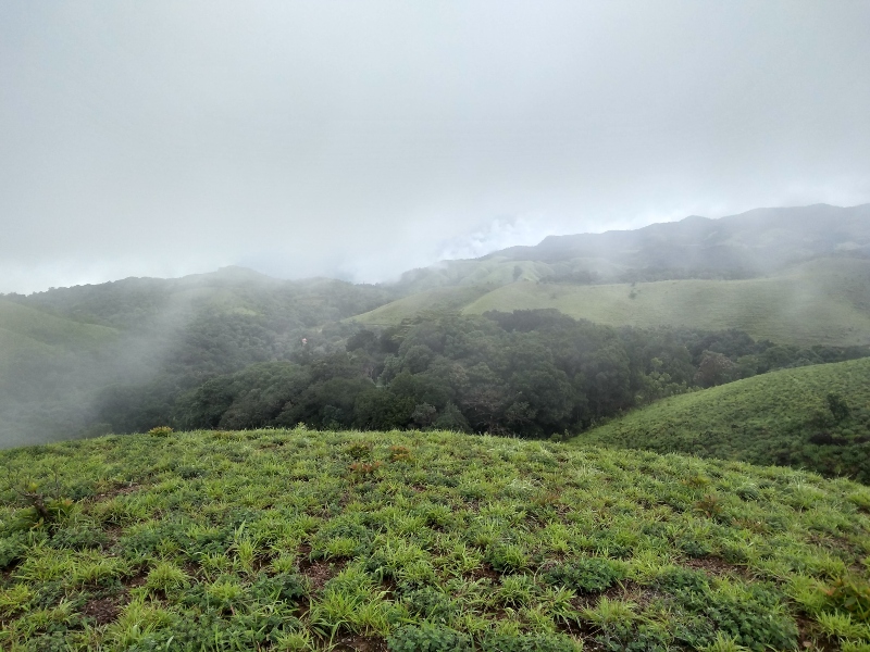 Mandalpatti Peak in Coorg, India | Day Tripe with Sunleisureworld