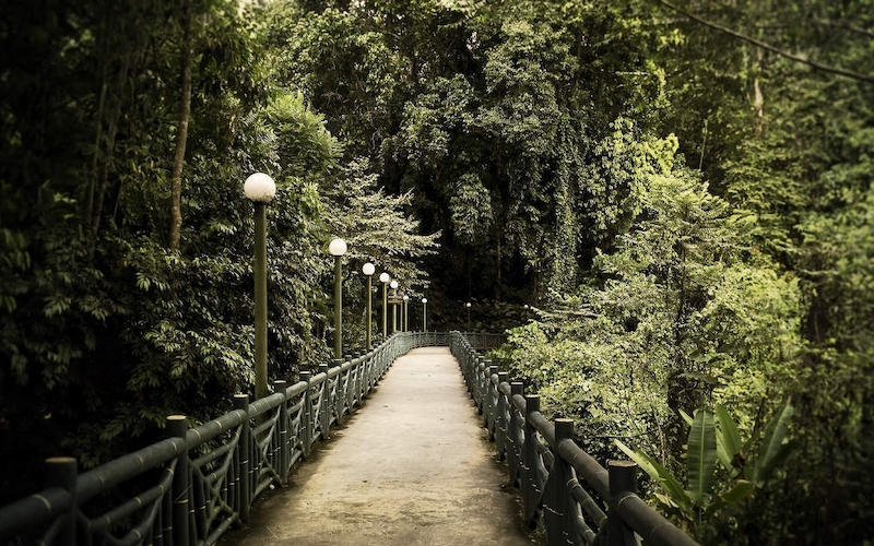 Poring Hot Springs in Sabah Other, Malaysia | Day Tripe with ...