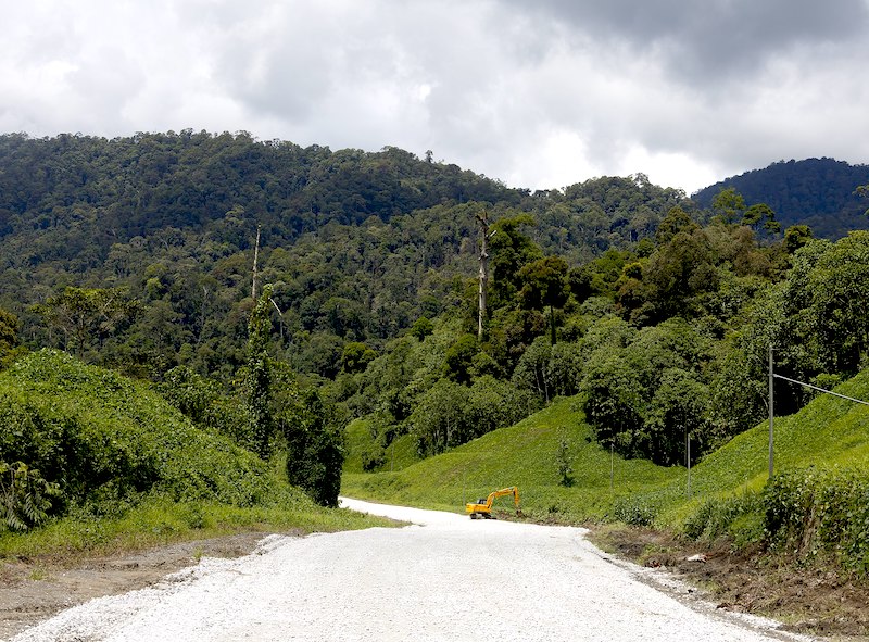 Kalabakan Forest Reserve, Tawau in Sabah Tawau And Semporna, Malaysia ...