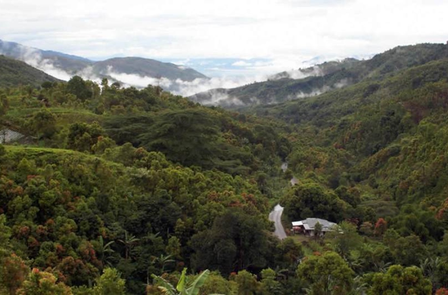 Bukit Dua Belas National Park in Jambi, Indonesia | Day Tripe with ...