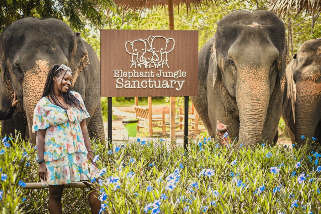 Elephant Jungle Sanctuary Half Day Tour from Phuket Tours | Sunleisureworld
