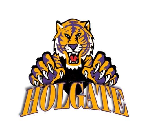 Holgate Local Schools Athletic Conference Survey | SurveyPlanet