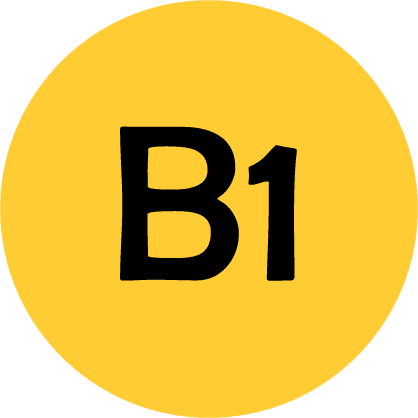 B1 jezik | SurveyPlanet