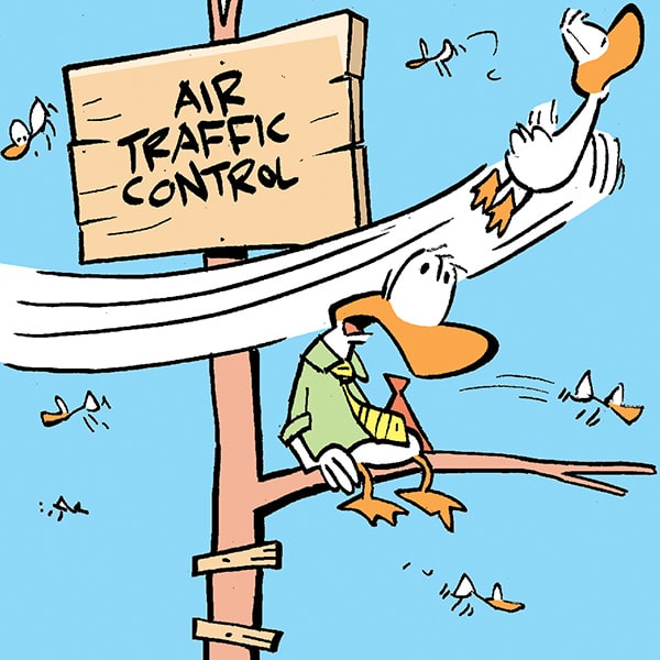 The Aviators | Swamp Cartoons