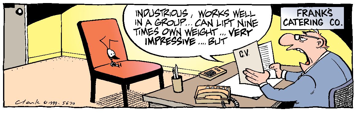 Job Application - Swamp Cartoons