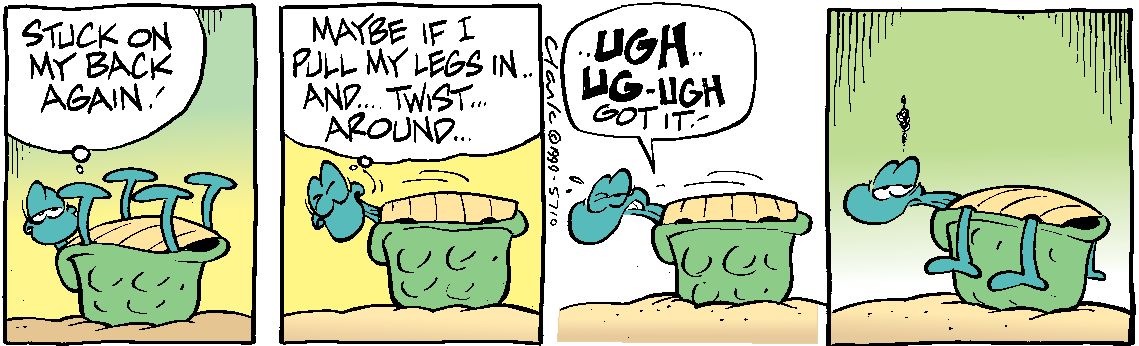 Stuck turtle - Swamp Cartoons