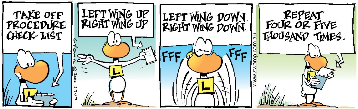Take Off Procedure - Swamp Cartoons