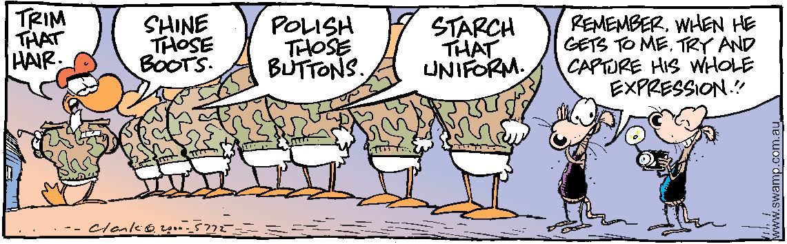 Army Inspection - Swamp Cartoons