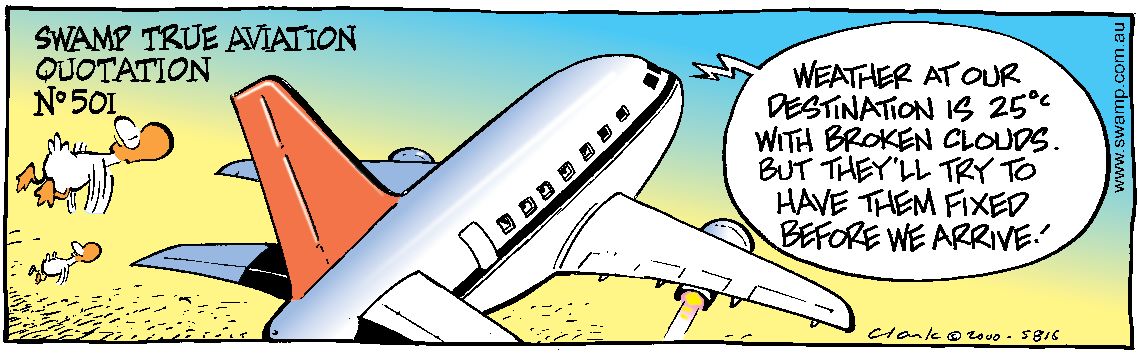 Pilot Inflight Announcement Comic - Swamp Cartoons