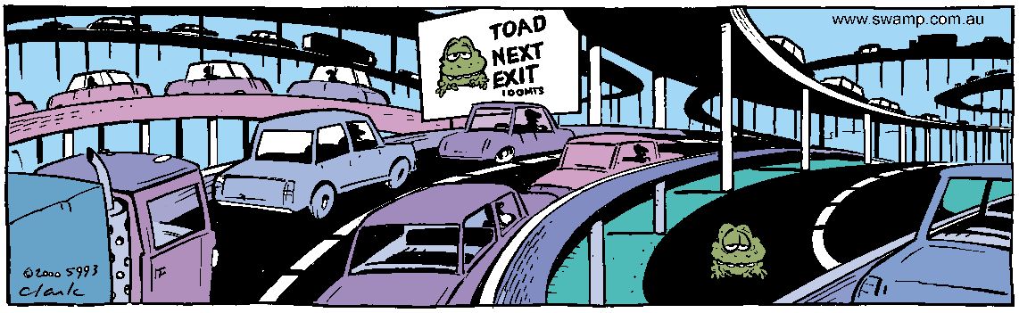 Toad On Road - Swamp Cartoons