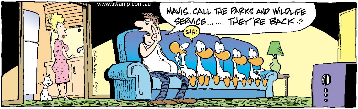 Aviator Ducks Migration - Swamp Cartoons