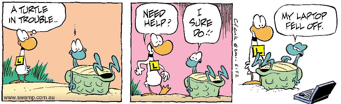 Turtle Trouble - Swamp Cartoons