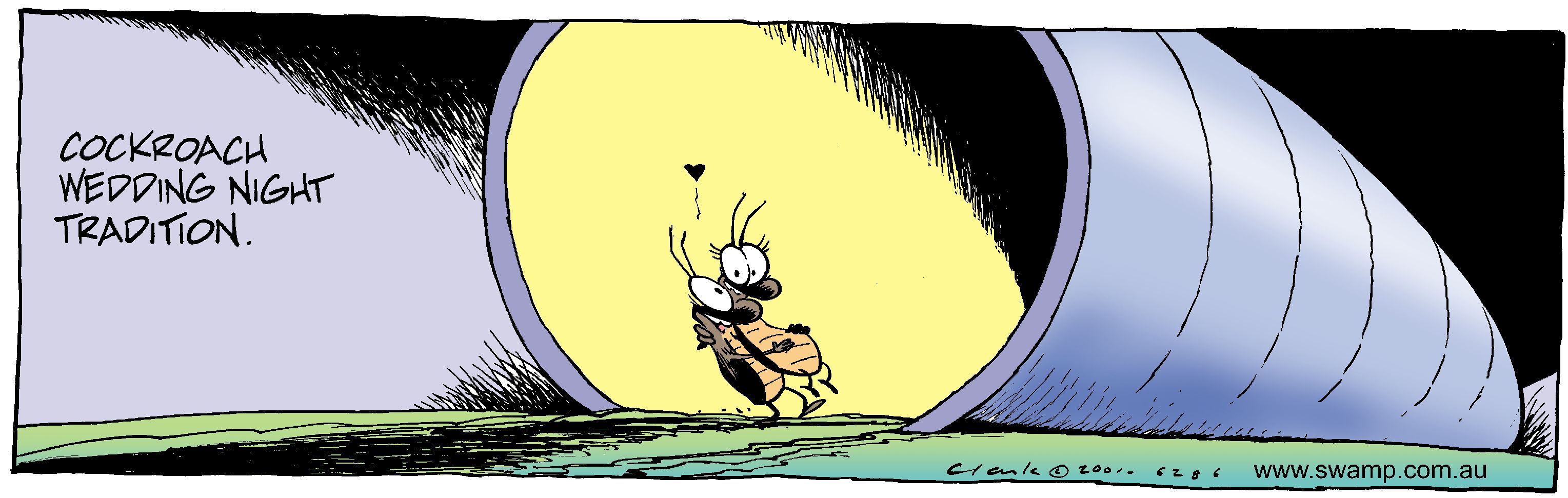 Cockroach Love Comic - Swamp Cartoons