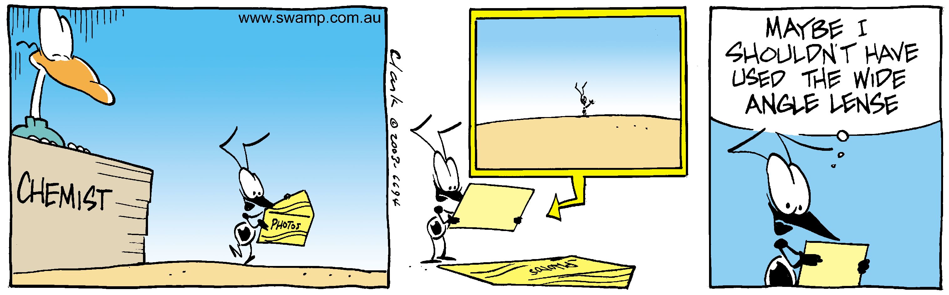 Ant Photos 1 - Swamp Cartoons