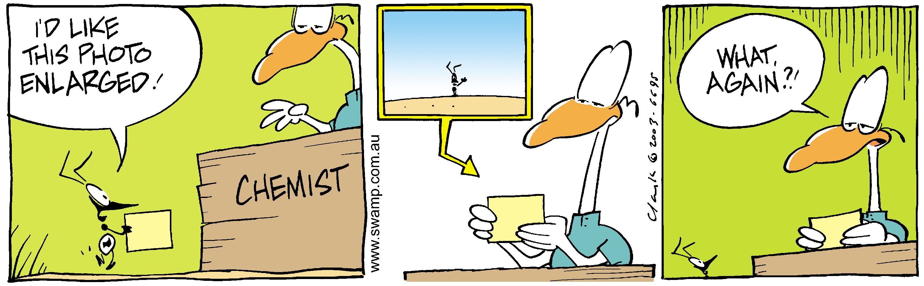 Ant Photos 2 - Swamp Cartoons