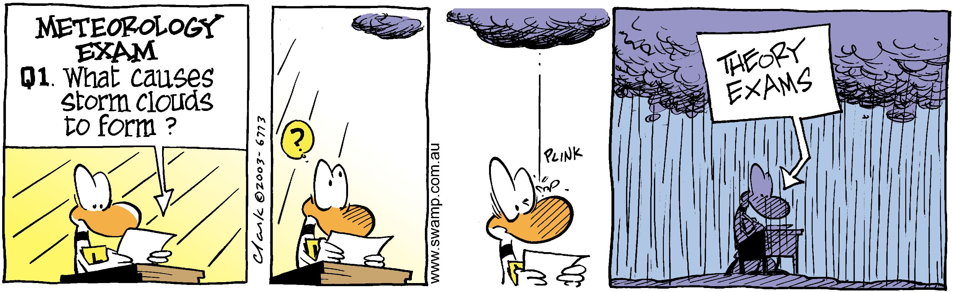 Storm Clouds - Swamp Cartoons