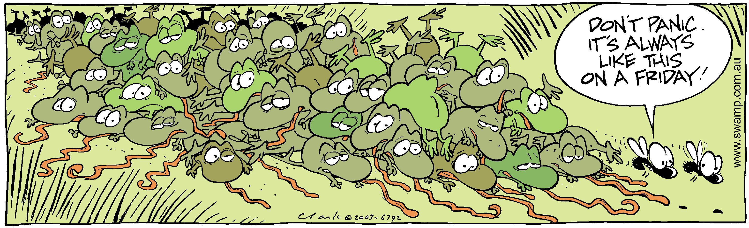 Miss - Swamp Cartoons