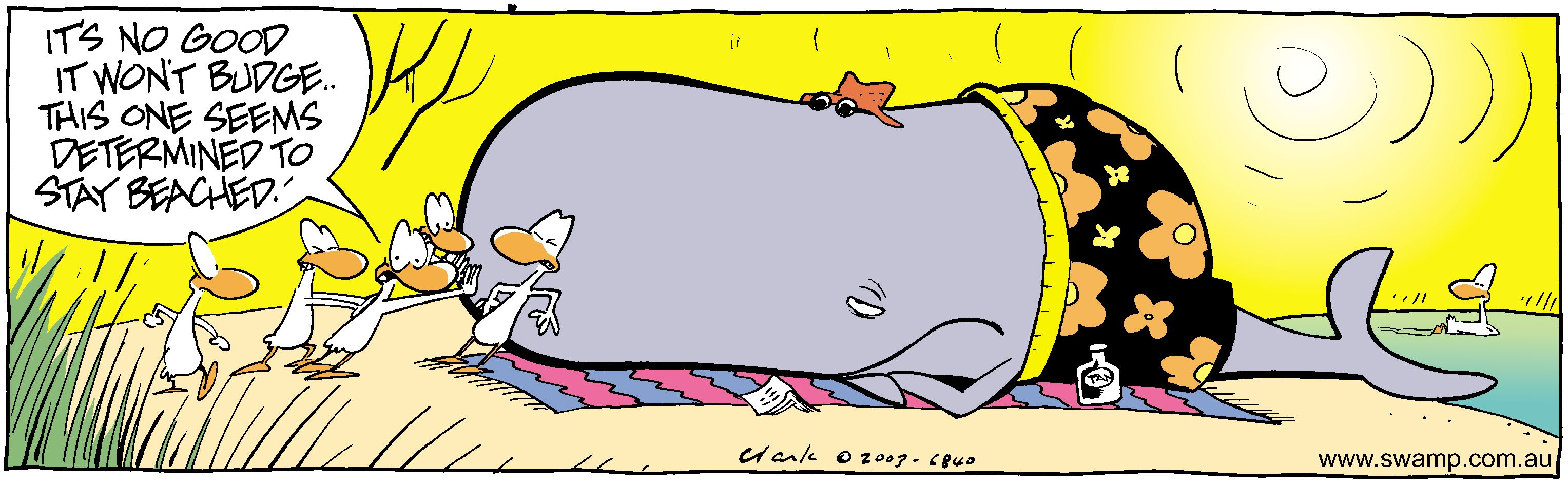 Beached Whale Comic - Swamp Cartoons