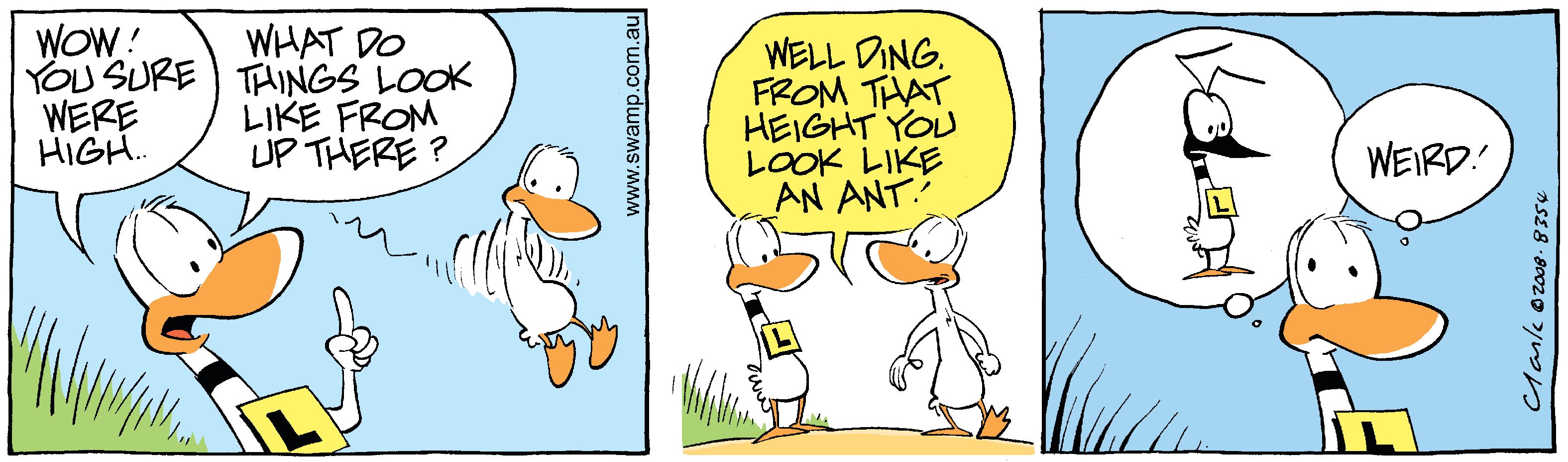 Birds Eye View - Swamp Cartoons