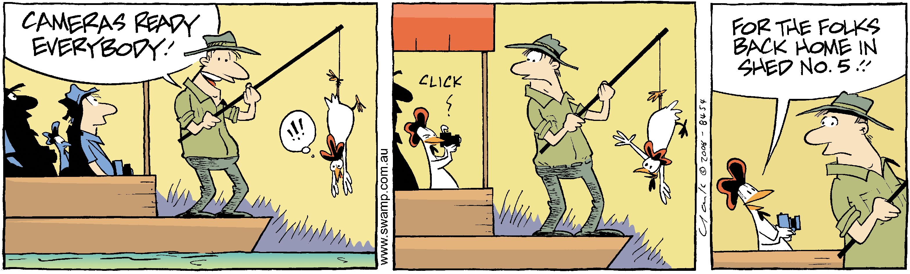 Chicken Photograph Comic - Swamp Cartoons