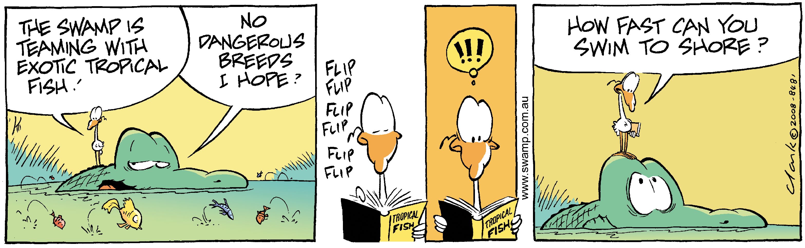 Exotic Fun 1 - Swamp Cartoons