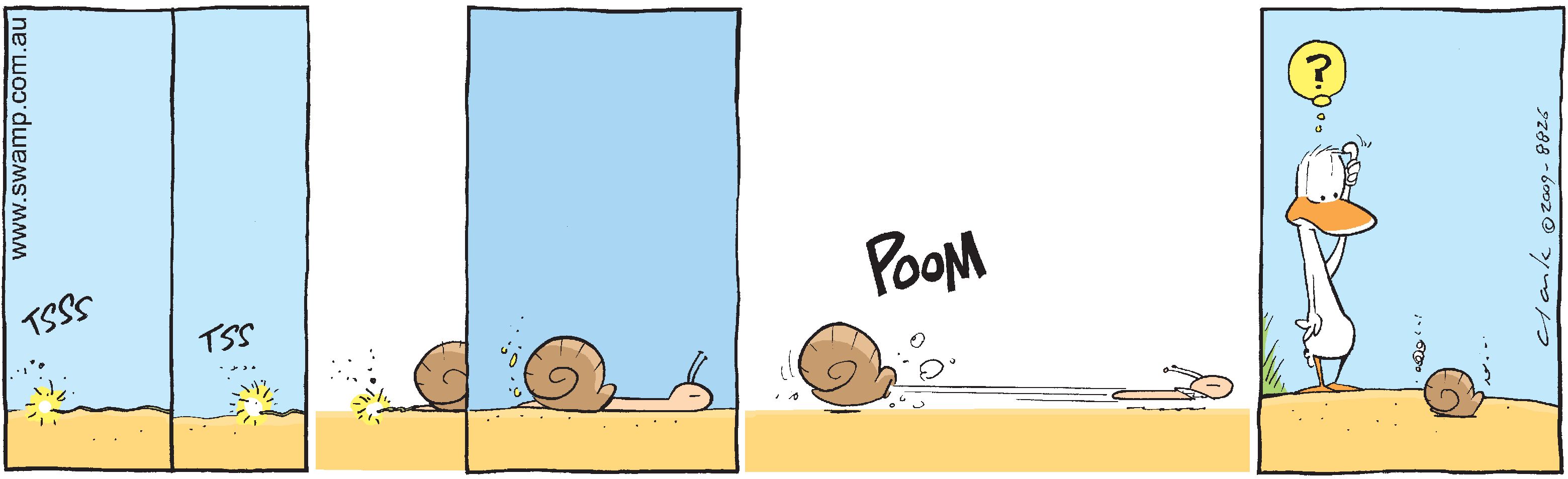 Turtle & Snail - Swamp Cartoons