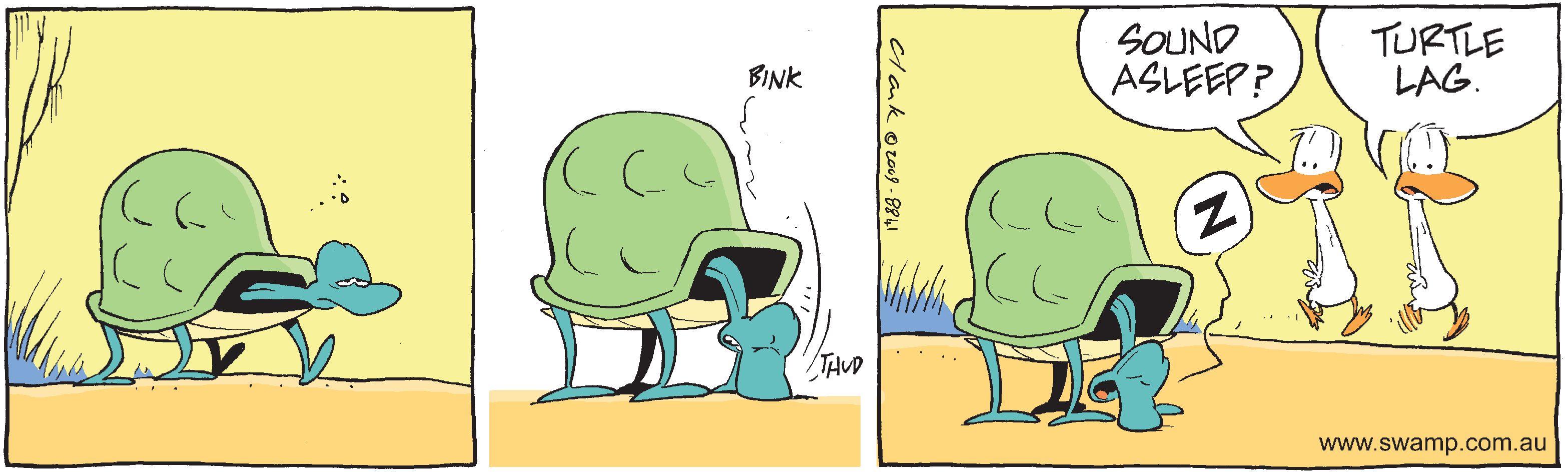 Turtle & Snail - Swamp Cartoons