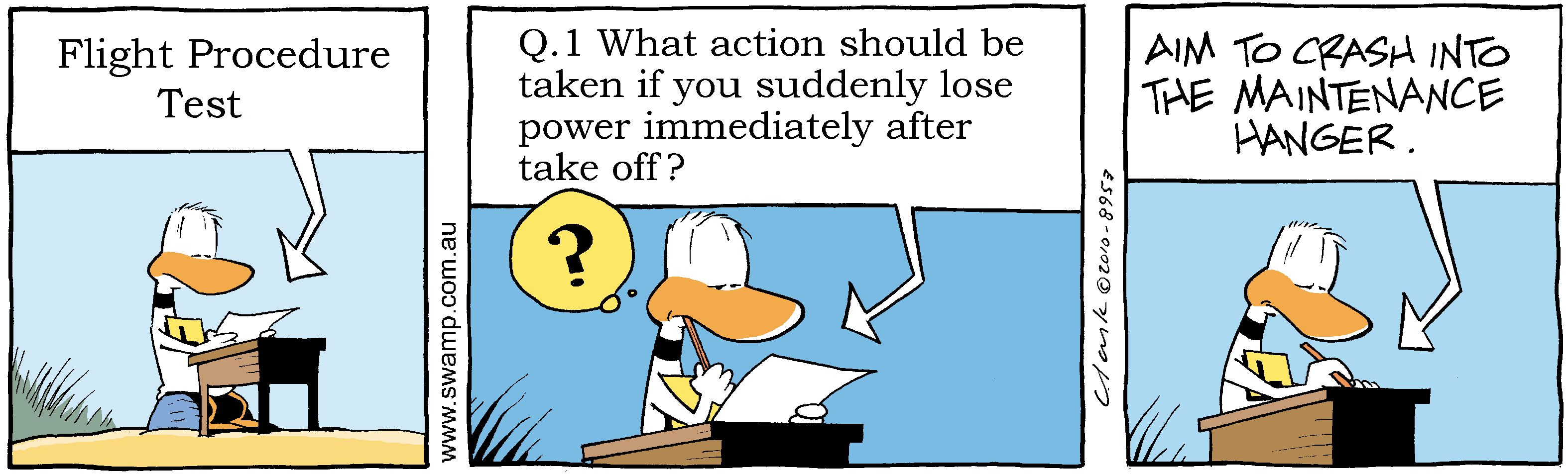 Ding Duck Flight Procedure Test Comic - Swamp Cartoons