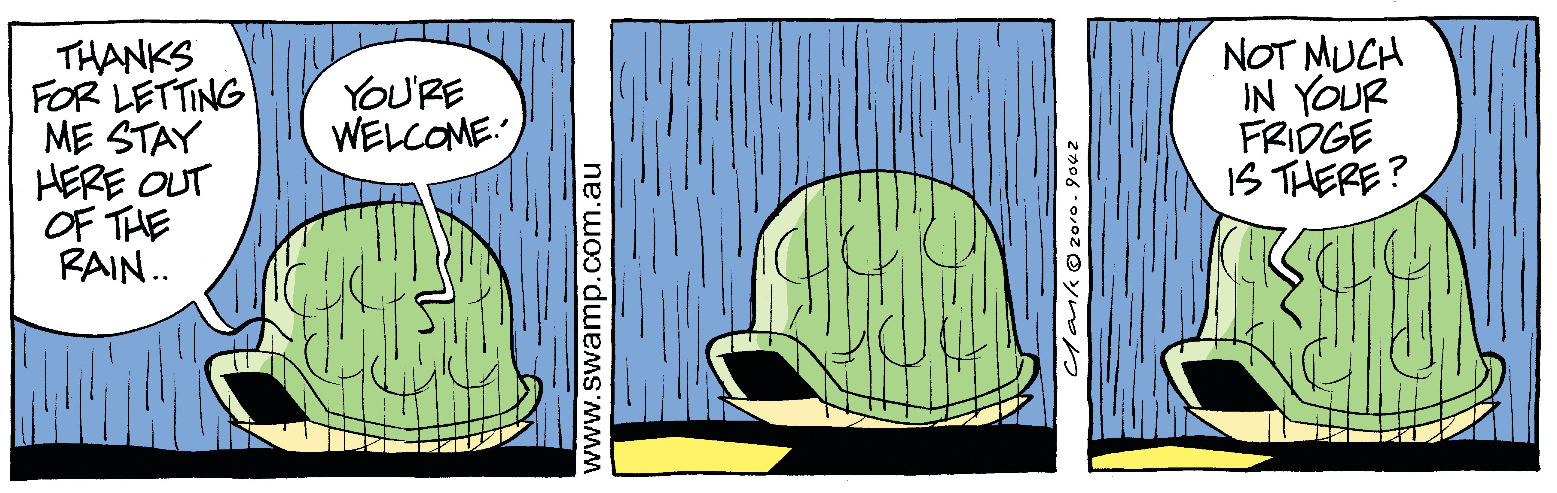 Turtle & Snail - Swamp Cartoons