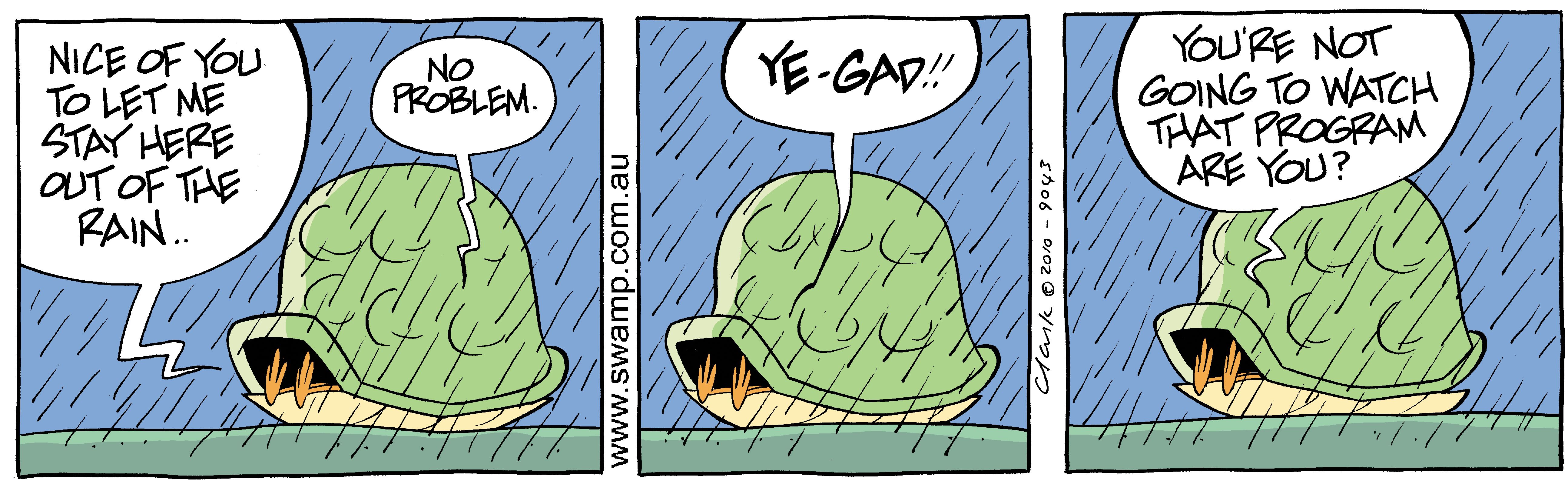 Turtle & Snail - Swamp Cartoons