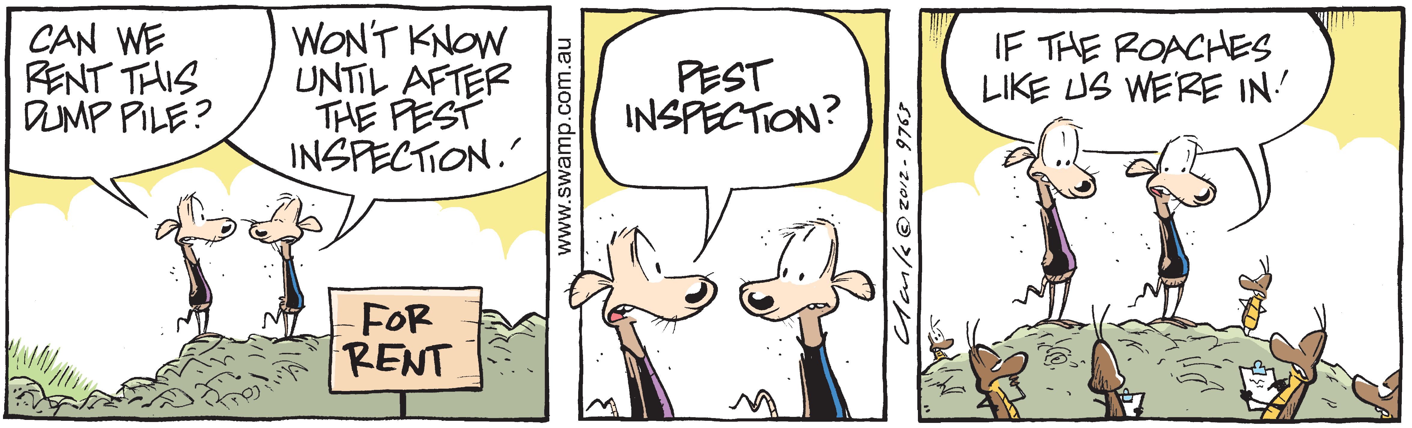 Pest Inspection - Swamp Cartoons