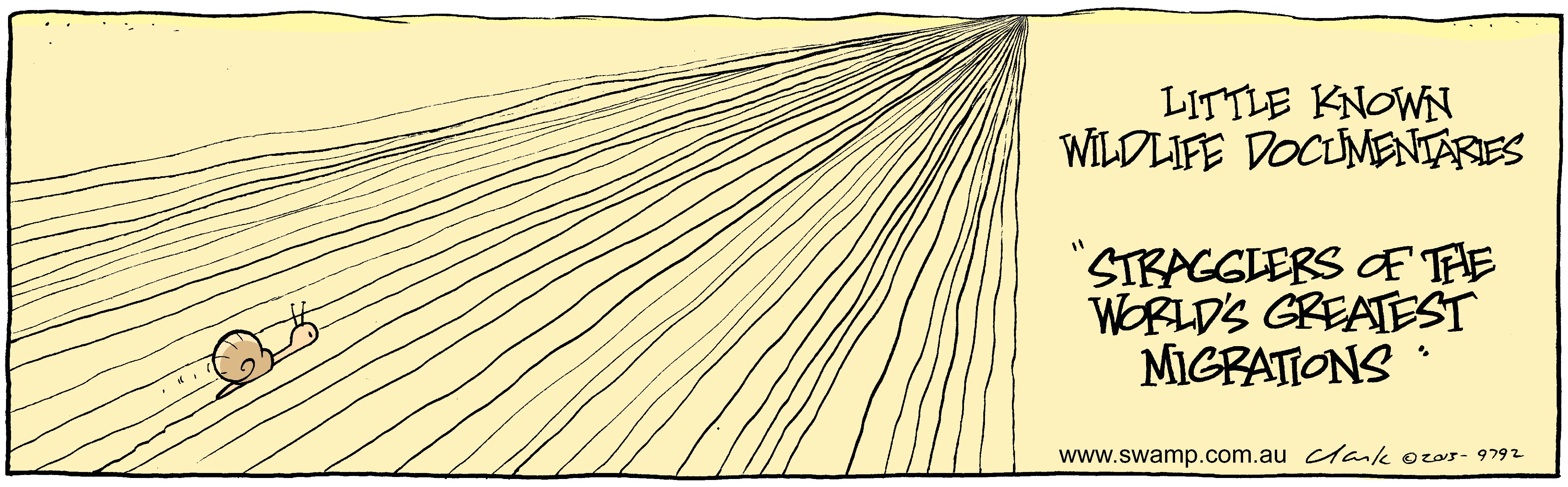 Turtle & Snail - Swamp Cartoons