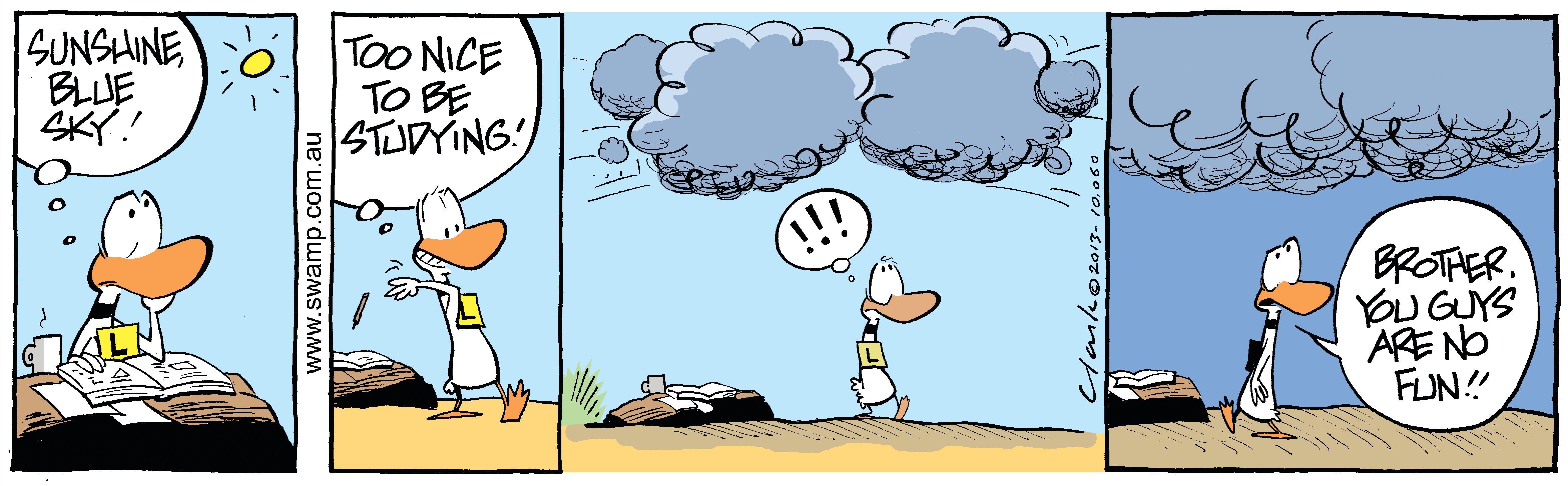Ding Duck Clouds Comic - Swamp Cartoons