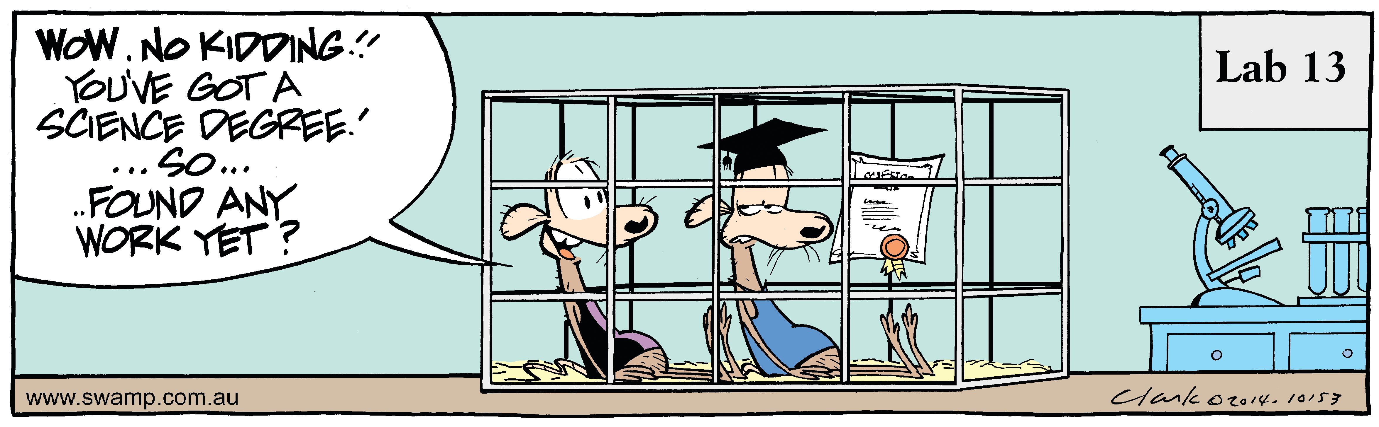 Swamp Rat Science Degree Cartoon - Swamp Cartoons