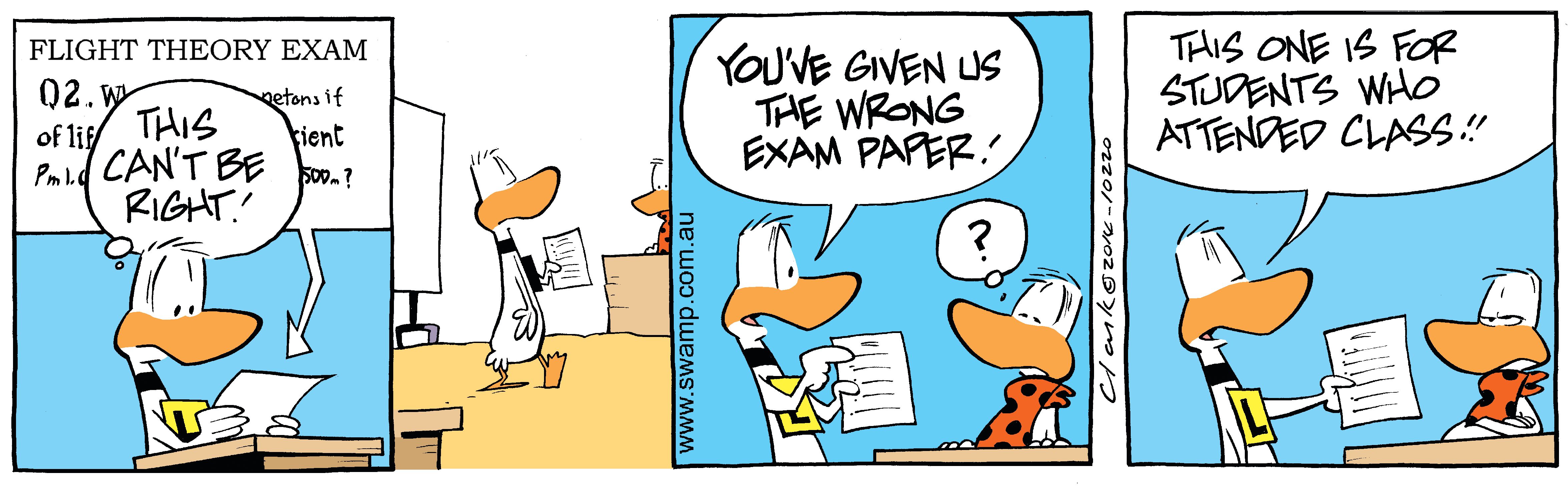 Ding Duck Flight Theory Exam Comic - Swamp Cartoons
