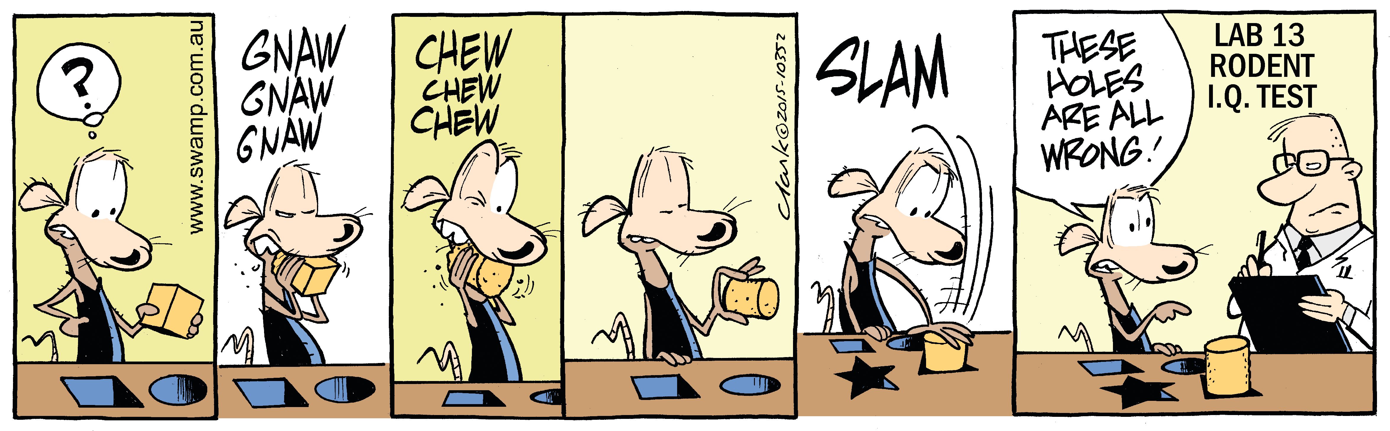 Rat IQ Test Comic - Swamp Cartoons