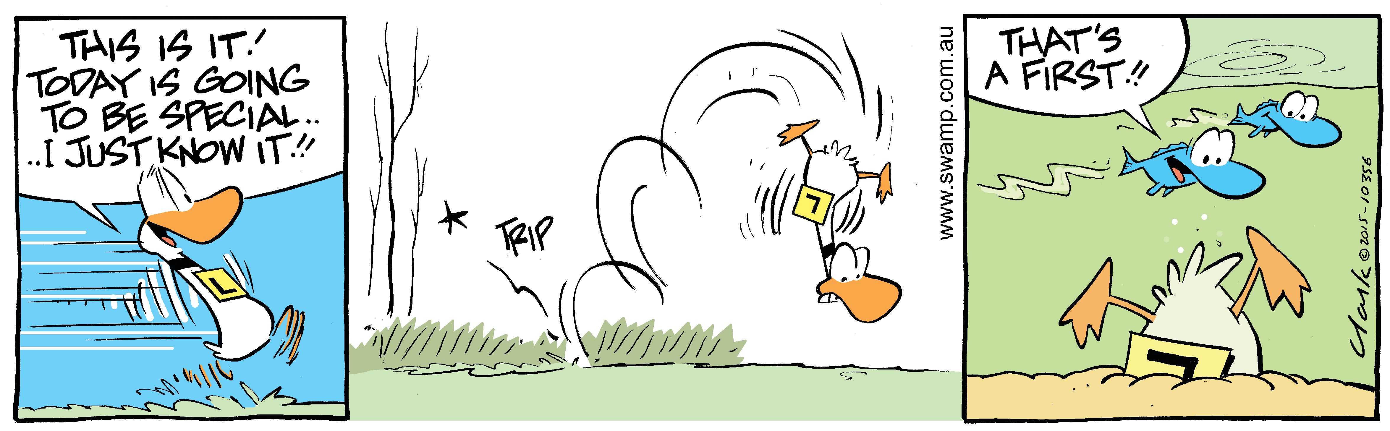 Ding Duck Water Landing Comic - Swamp Cartoons